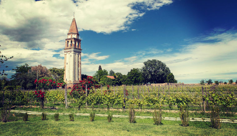 Your Complete Guide To Prosecco Wine Country – Forbes Travel Guide Stories