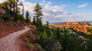 Your Essential Canyon Point Guide – Forbes Travel Guide Stories