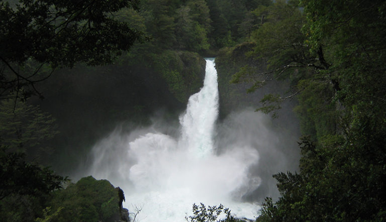 Exploring Chile’s Unique Private Nature Reserve – Forbes Travel Guide ...