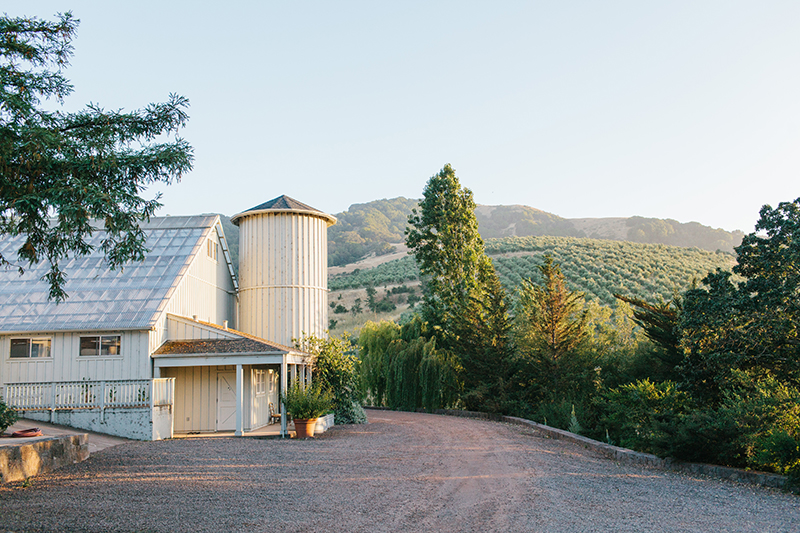 Why You Should Visit Petaluma, California – Forbes Travel Guide Stories