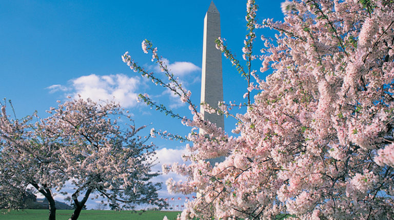 The Best Outlet Shopping In Washington, D.C. – Forbes Travel Guide Stories