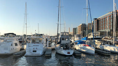 What To Know About The Wharf, D.C.’s New Hot Spot – Forbes Travel Guide ...