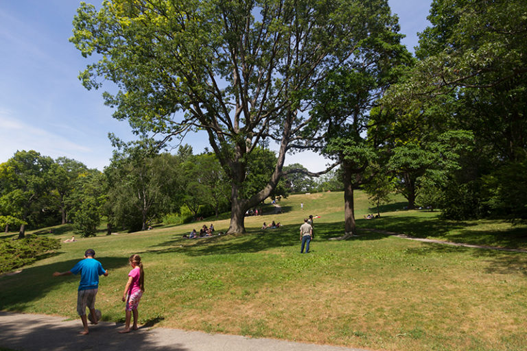 5 Ways To Celebrate Spring In Toronto – Forbes Travel Guide Stories