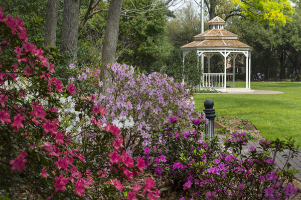 5 Things We Love About The Houstonian Hotel, Club and Spa – Forbes ...