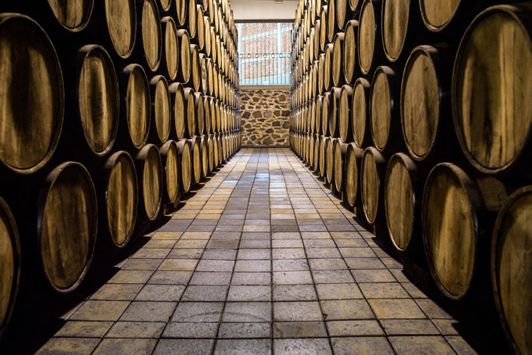 Take A Fascinating Tequila Tour In Jalisco, Mexico – Forbes Travel ...