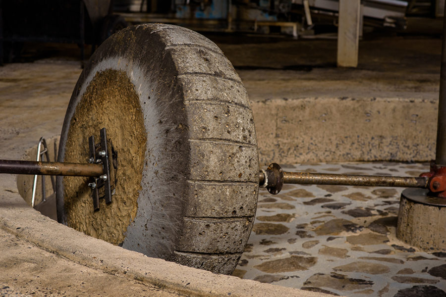 Take A Fascinating Tequila Tour In Jalisco, Mexico – Forbes Travel ...