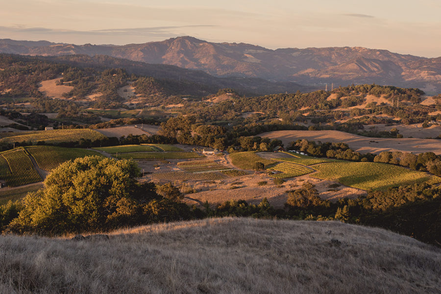 Why You Should Visit Sonoma Right Now – Forbes Travel Guide Stories