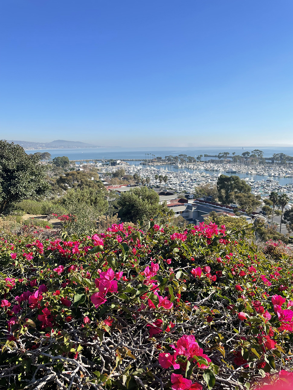 How To Spend Two Days In Orange County – Forbes Travel Guide Stories