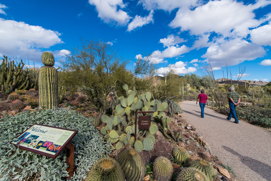 10 Top Tucson Attractions – Forbes Travel Guide Stories
