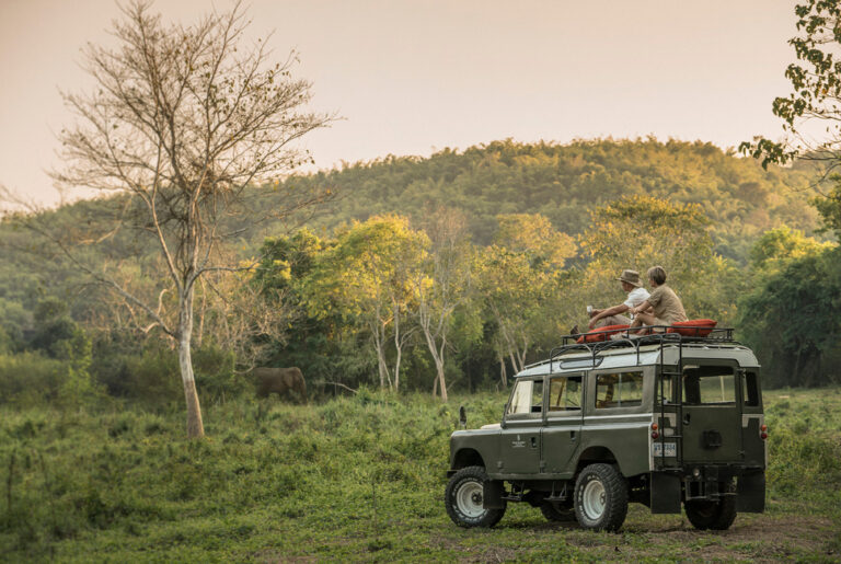 14 Amazing Wildlife Hotels For Your Next Adventure – Forbes Travel ...