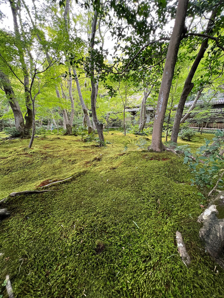 How To Spend Three Days In Kyoto – Forbes Travel Guide Stories