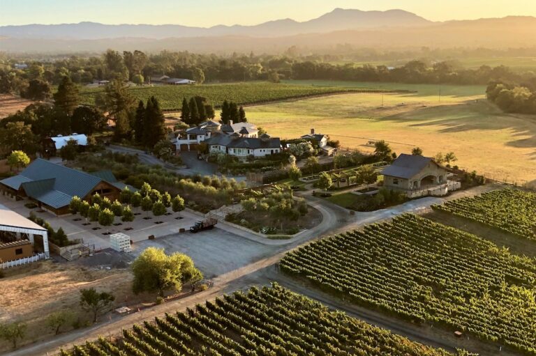 8 Unforgettable Winery Culinary Experiences You Need To Book Now ...